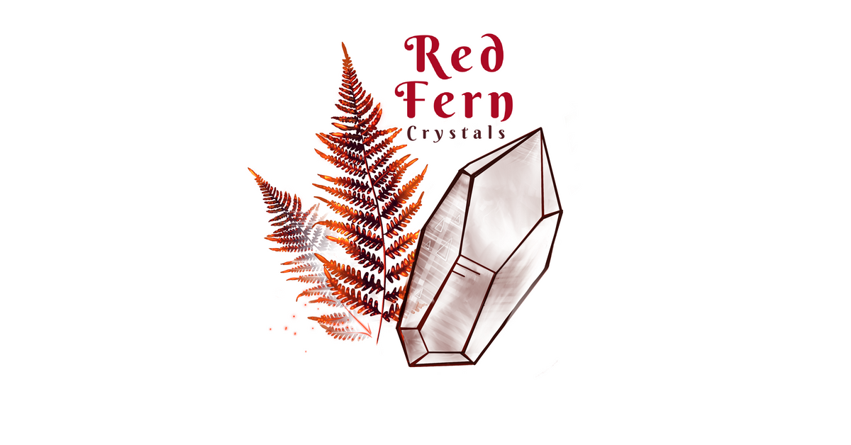 How To Draw A Red Fern